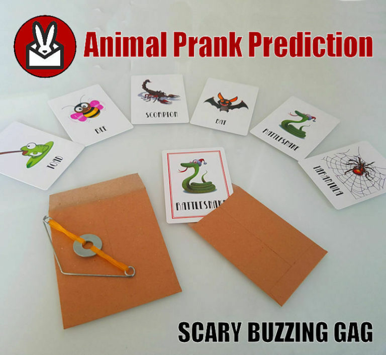 ANIMAL PREDICTION PRANK GAG – Post Tricks