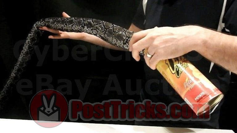 SNAKE CAN – GAG PRANK – Post Tricks